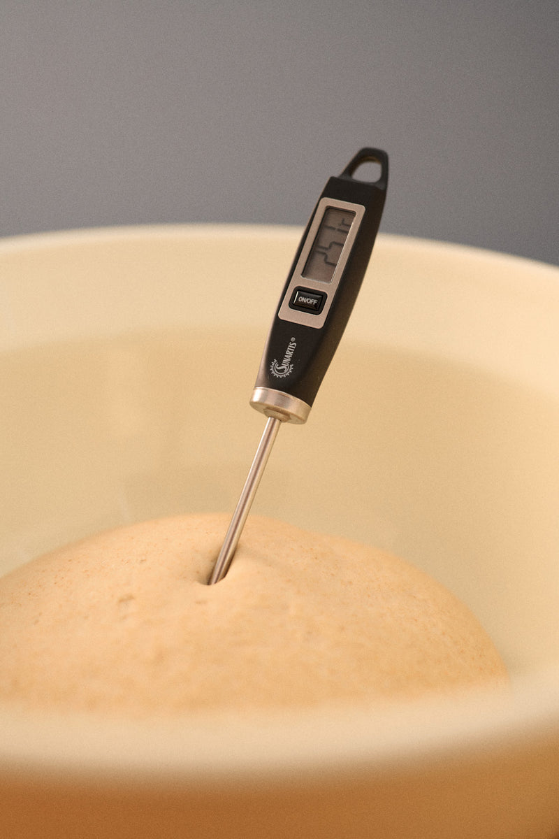 Digital Household and Dough Thermometer – ROGGENWOLF